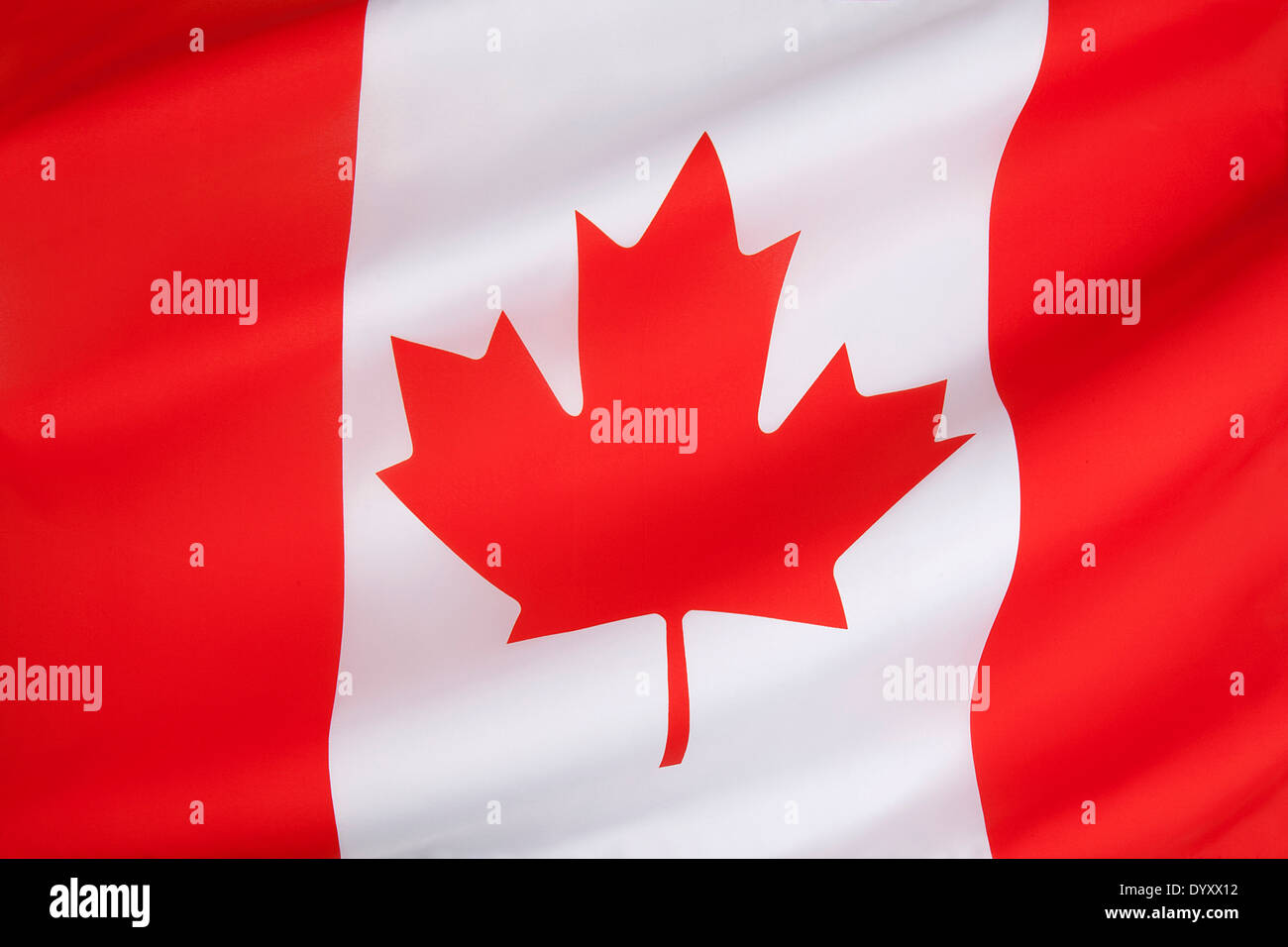 The national flag of Canada Stock Photo - Alamy