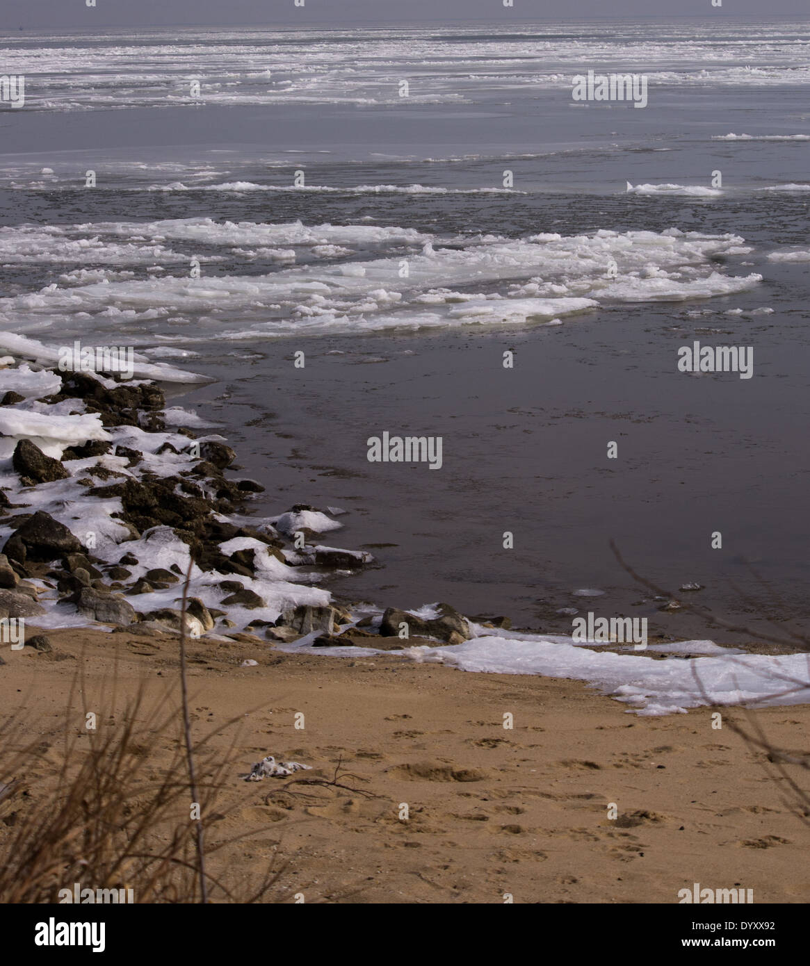 Patapsco River near Baltimore Lies Frozen in Time Stock Photo - Alamy