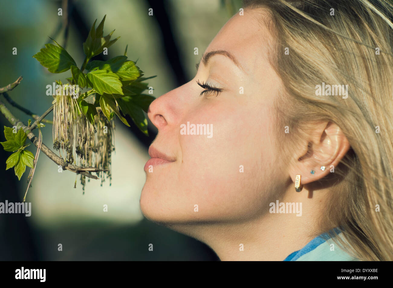 Smell plant hi-res stock photography and images - Alamy