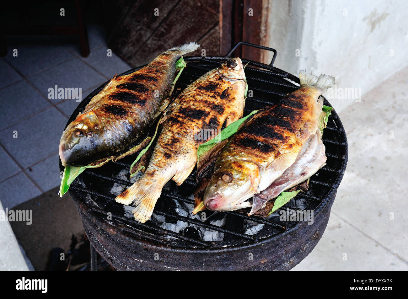 Sabalo fish - Plaza de Armas in IQUITOS . Department of Loreto .PERU ...