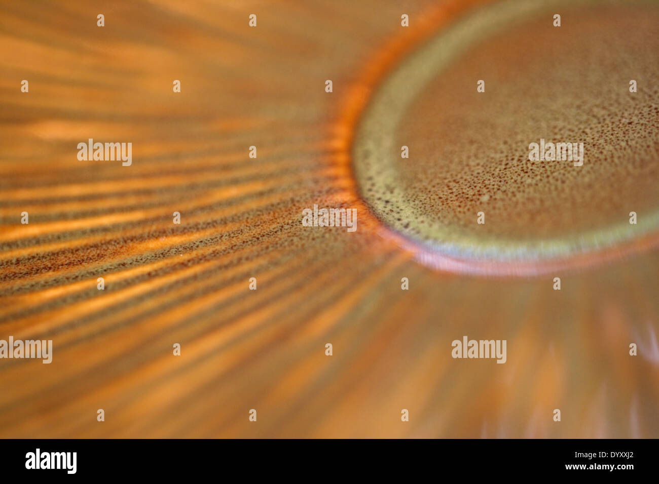 Ceramic porcelain bowl gold Stock Photo - Alamy