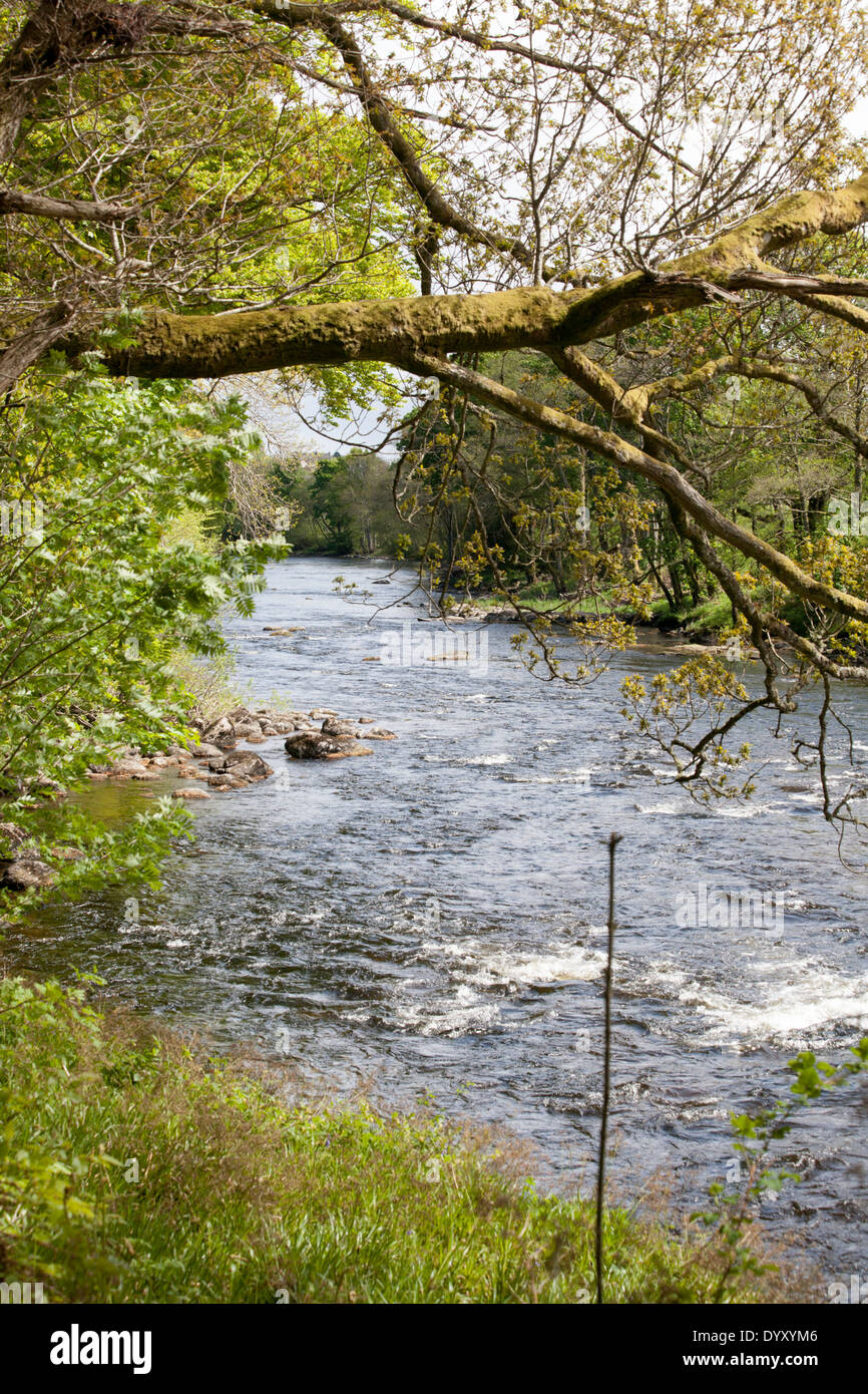 The River Earn at Crieff Perthshire Scotland Stock Photo - Alamy