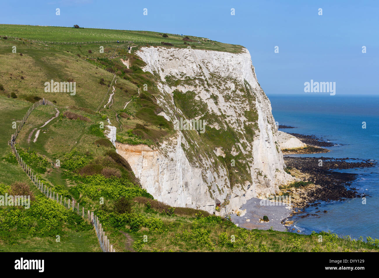 the white cliffs of Dover Stock Photo - Alamy