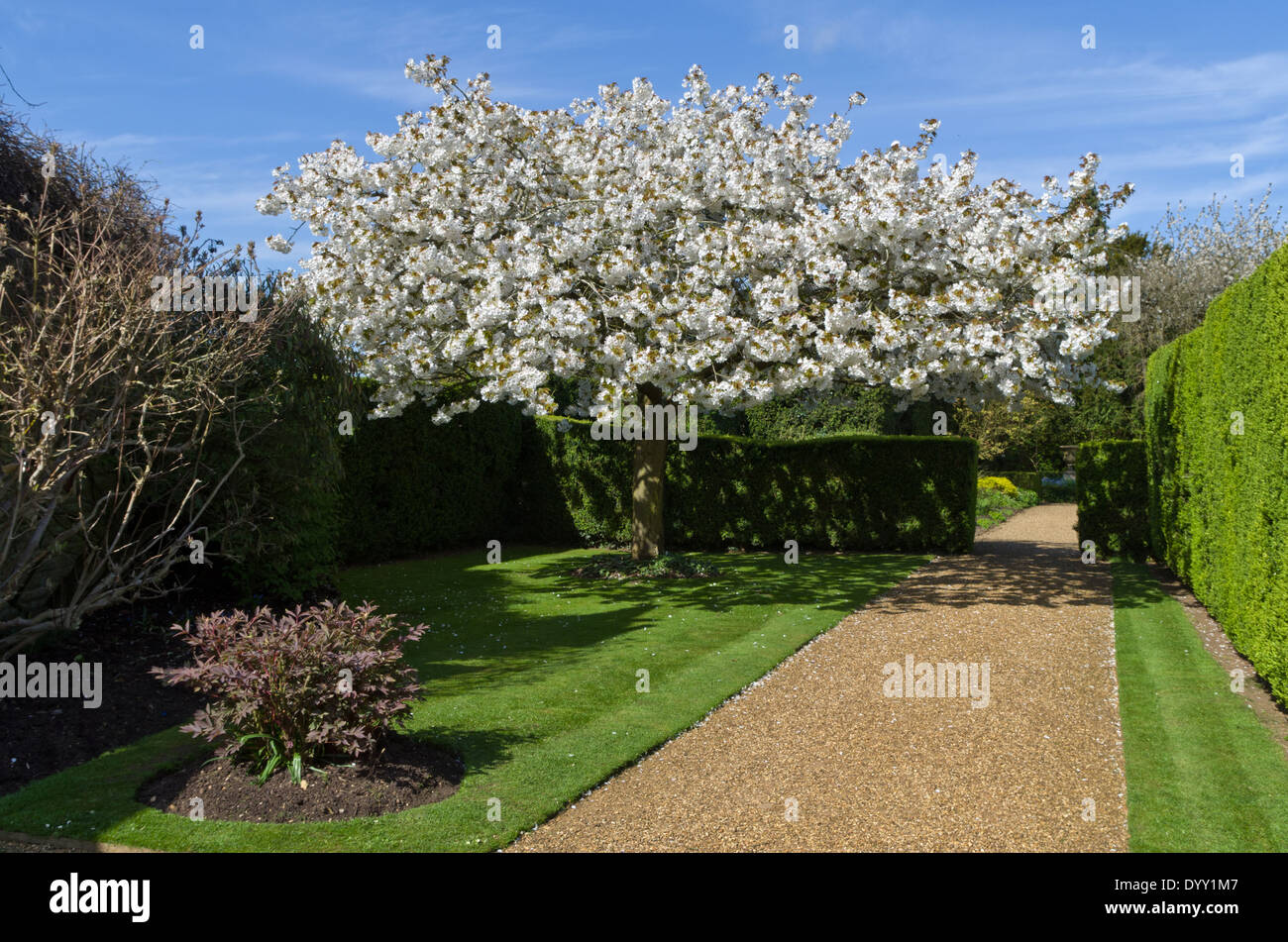 White gravel path hi-res stock photography and images - Alamy