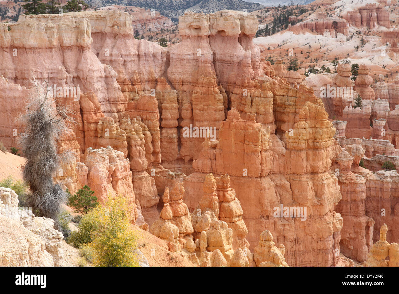 One of the most beautiful canyons on Earth Stock Photo - Alamy
