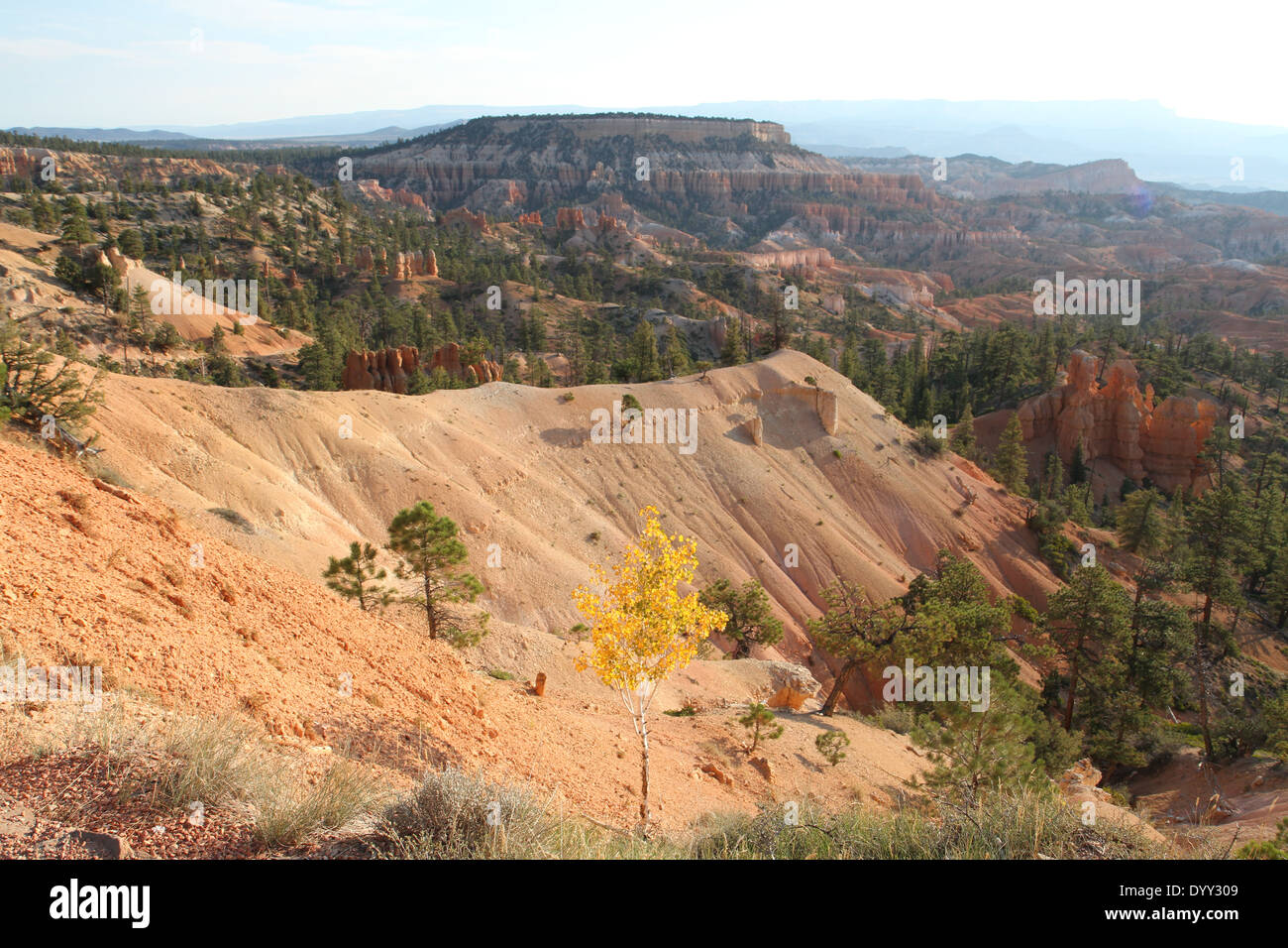 Bryce canyon national park amazing hi-res stock photography and images ...