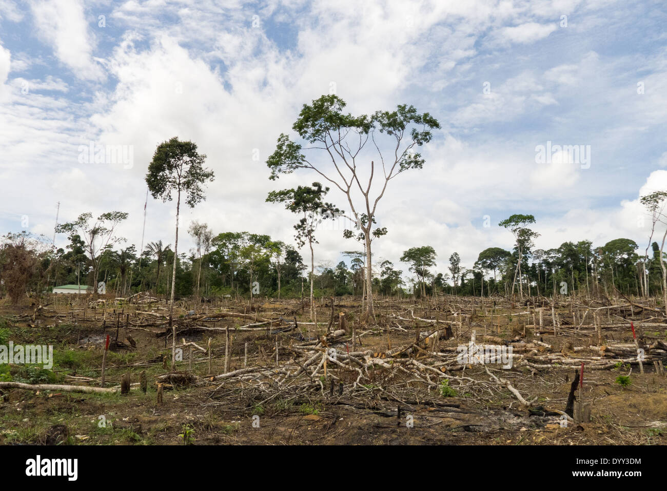 Altamira hi-res stock photography and images - Alamy