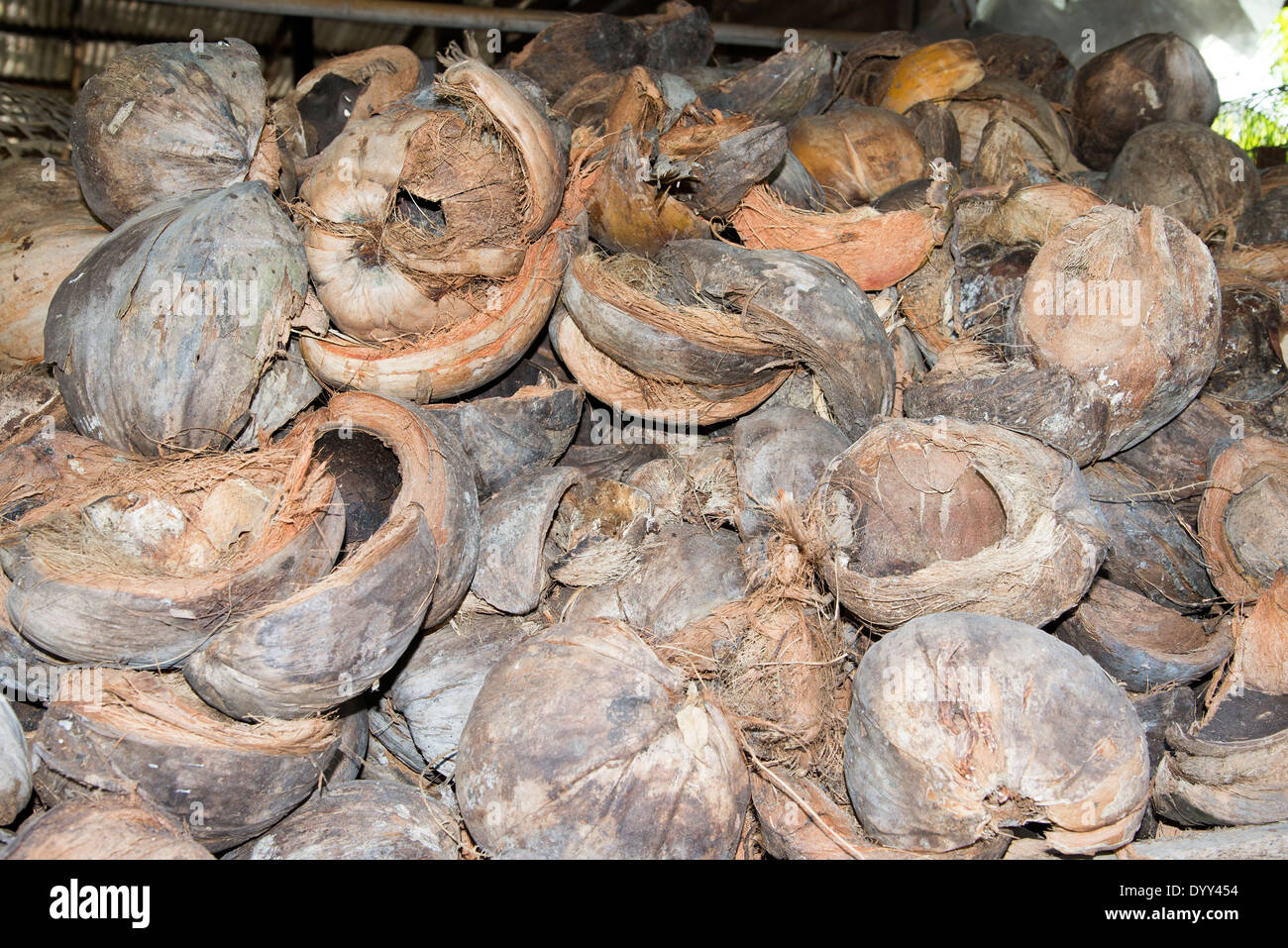 Coconut storage hi-res stock photography and images - Alamy