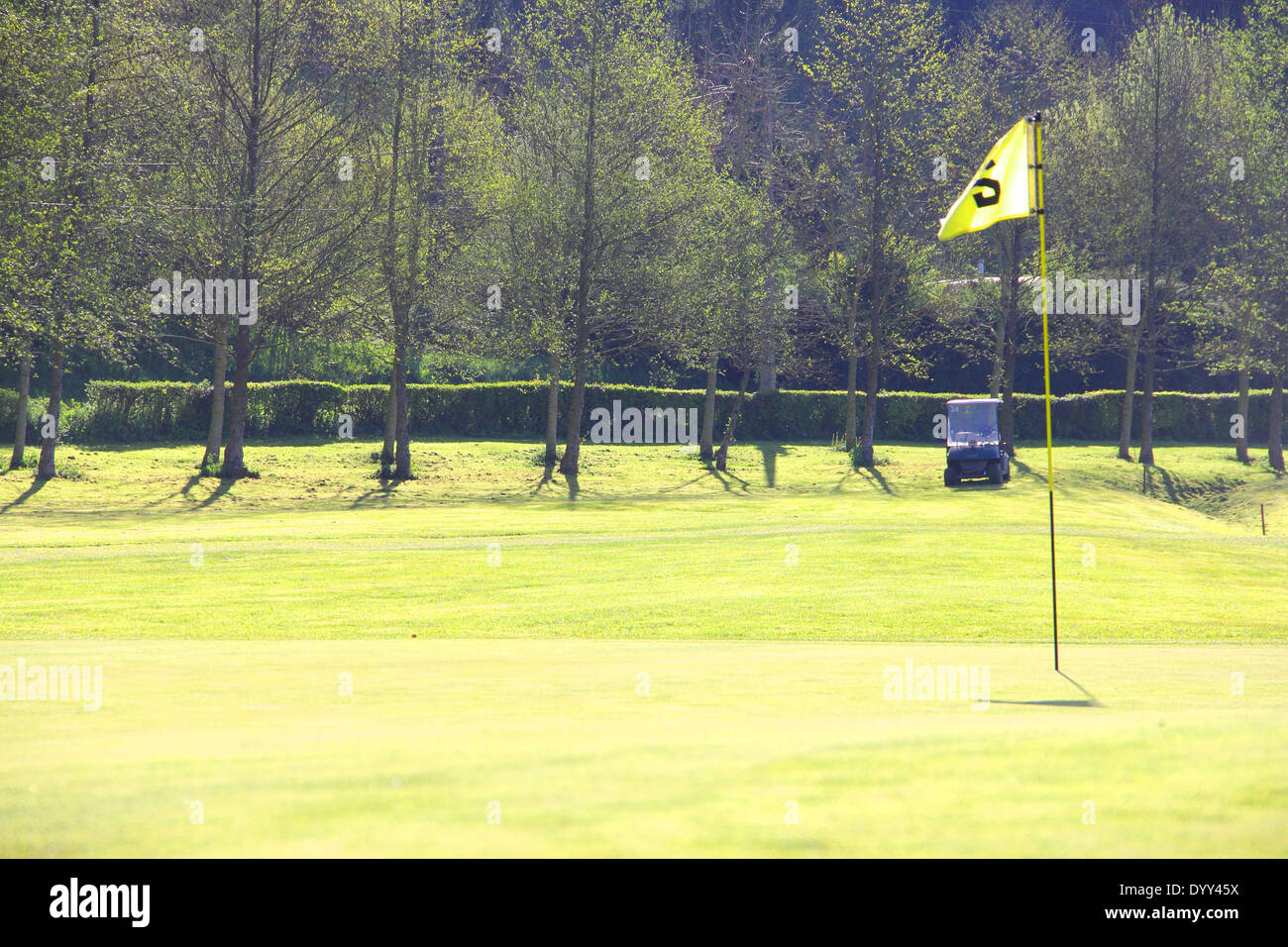 Golf flag on course over beautiful forest background Stock Photo - Alamy