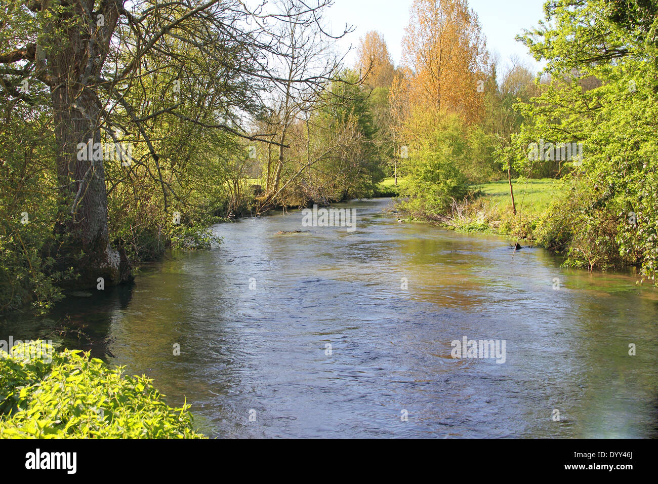 Beautiful spring landscape with river and trees in sunny day Stock ...