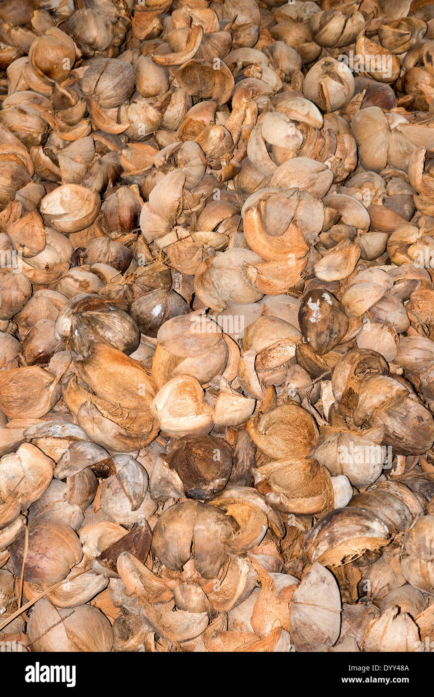 Coconut husks in storage Thailand Stock Photo - Alamy