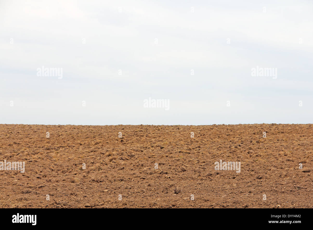 Dirt Field Background