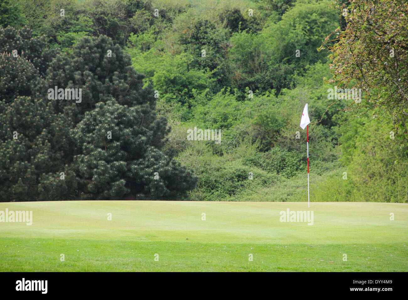 Golf flag on the green grass field close up Stock Photo - Alamy