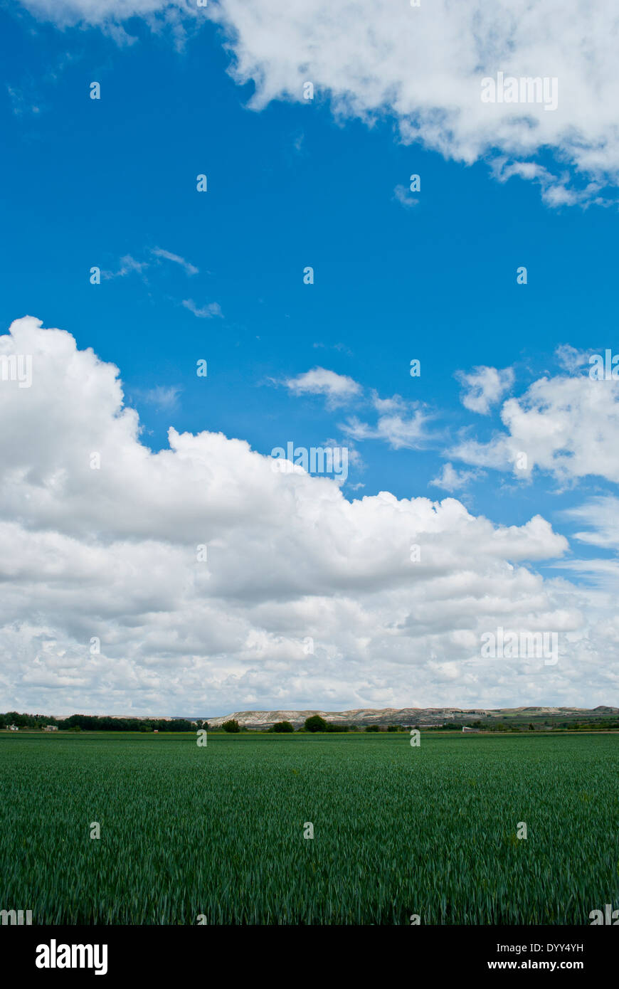 Field landscape with cloudy sky in spring Stock Photo - Alamy