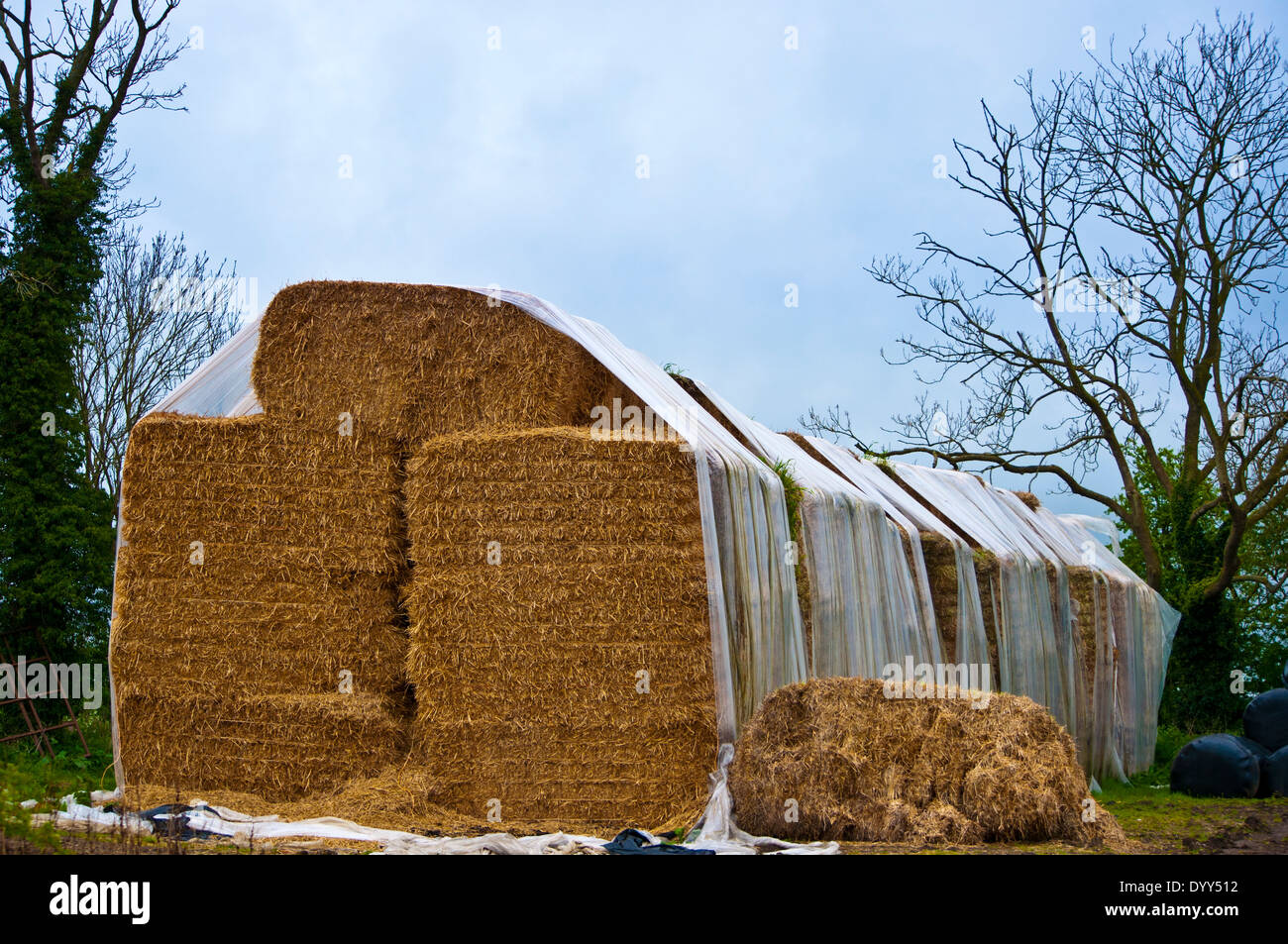 Large Hay bales haystack covered in plastic Stock Photo - Alamy