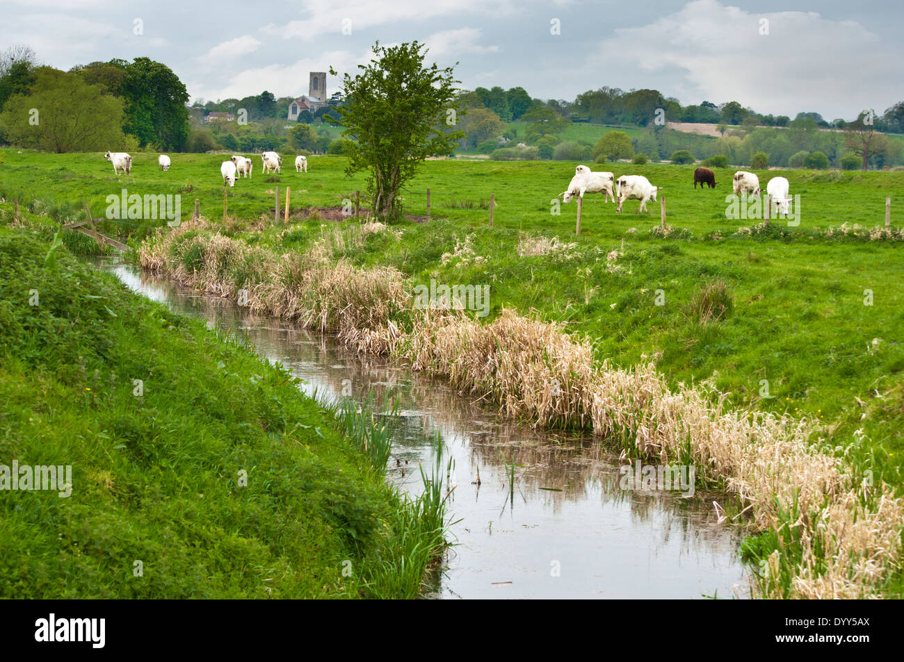 Wensum Valley Stock Photos & Wensum Valley Stock Images - Alamy