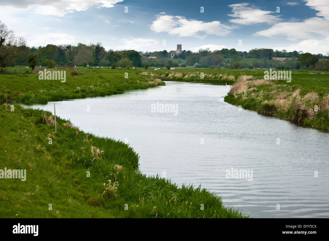 meander of the river water meadow River Wensum Valley Swanton Morley ...
