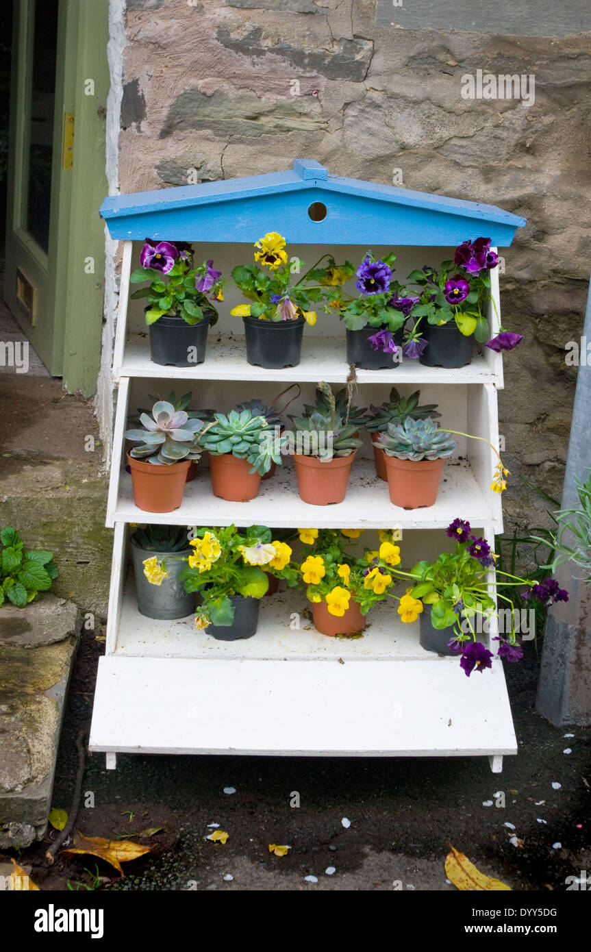 Flower and plant display stand Stock Photo - Alamy