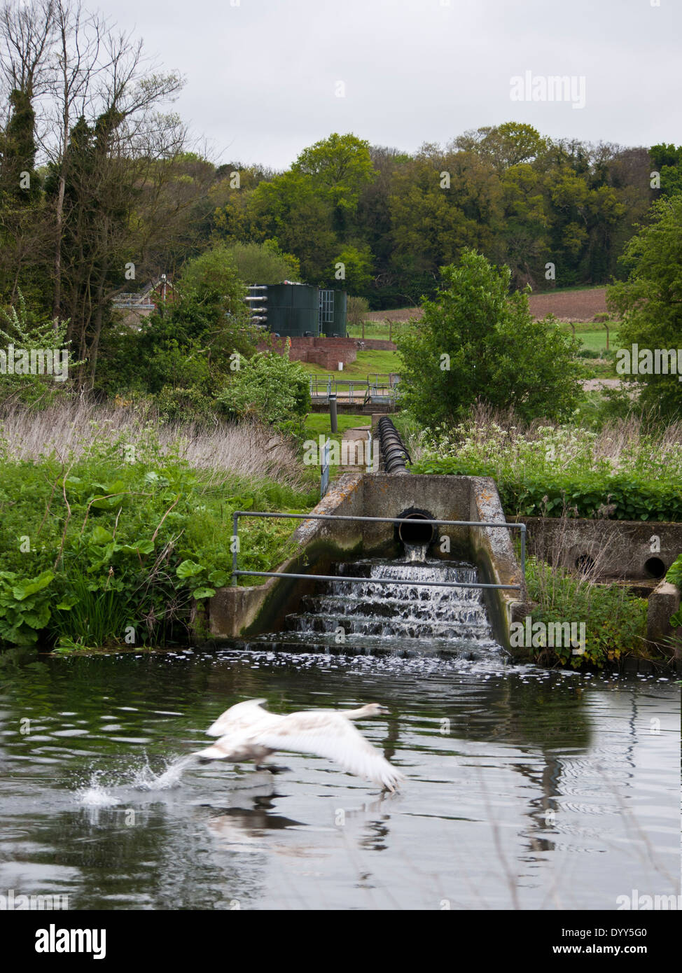 river outfall from sewage works River Wensum Bylaugh Norfolk Stock ...