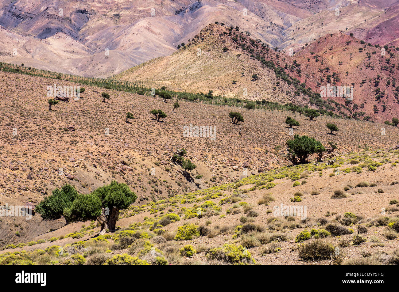 The Tizi n Tichka pass is one of several high altitude roads across the ...