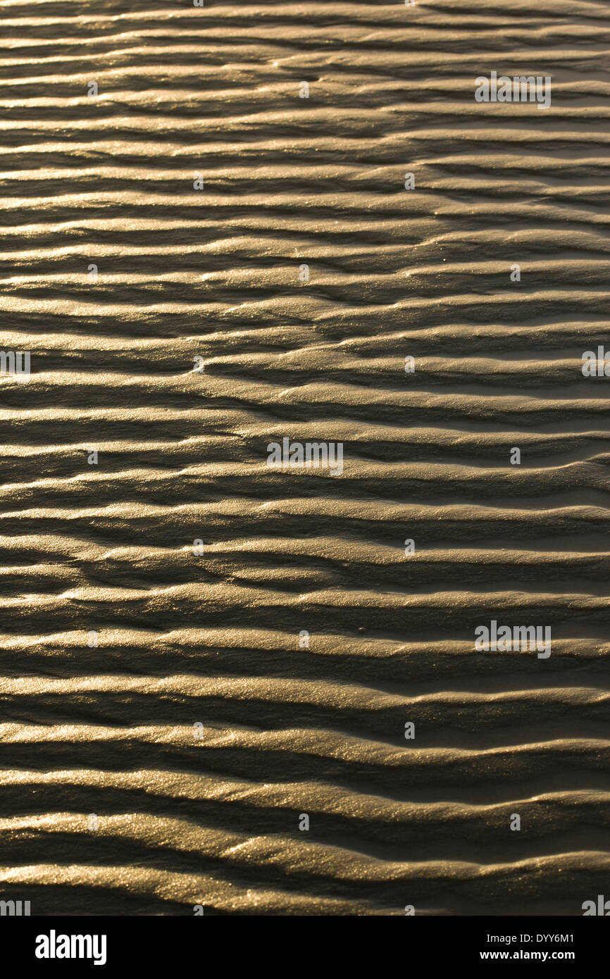 Sand patterns made by the ocean. photo back lit at golden sunset. Full ...