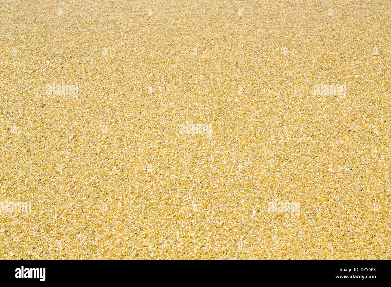 close up of wet beach sand for backgrounds Stock Photo - Alamy