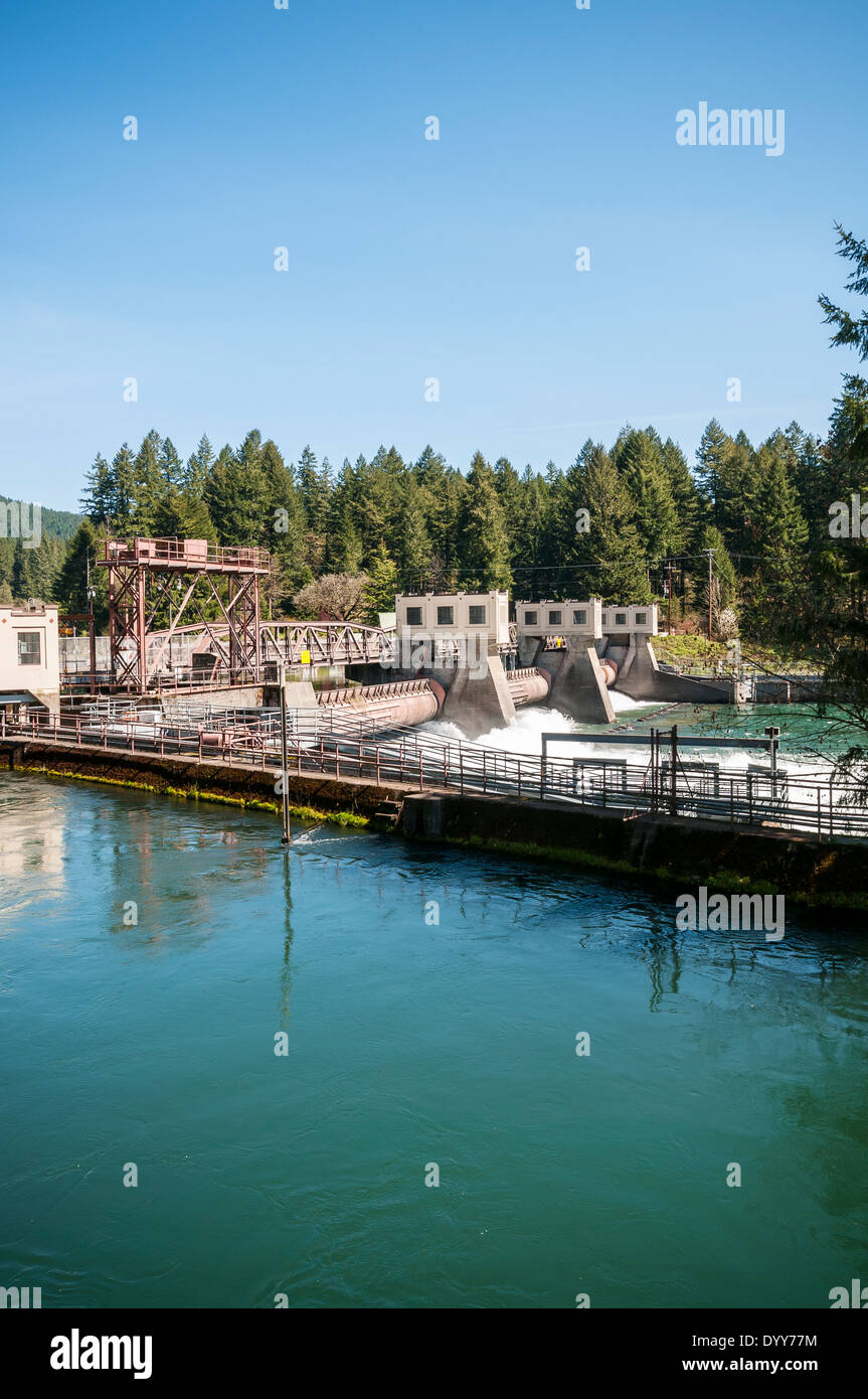 Spillway for Leaburg Dam in Oregon on Route 126. The dam provides power ...