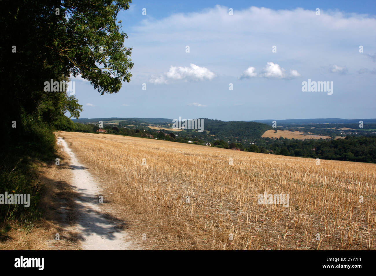 The view across the Surrey Hills from the top of the Hogs Back near the ...