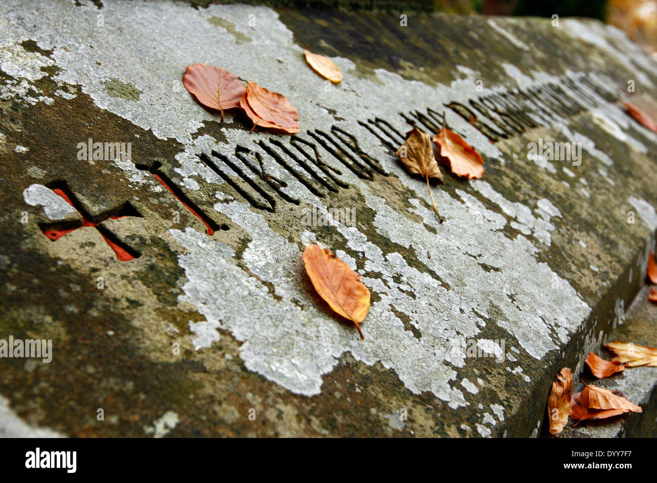 Gravestone in The Mount Cemetery in Guildford, Surrey Stock Photo - Alamy
