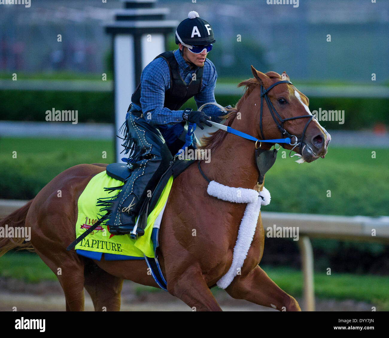 Tapiture hi-res stock photography and images - Alamy