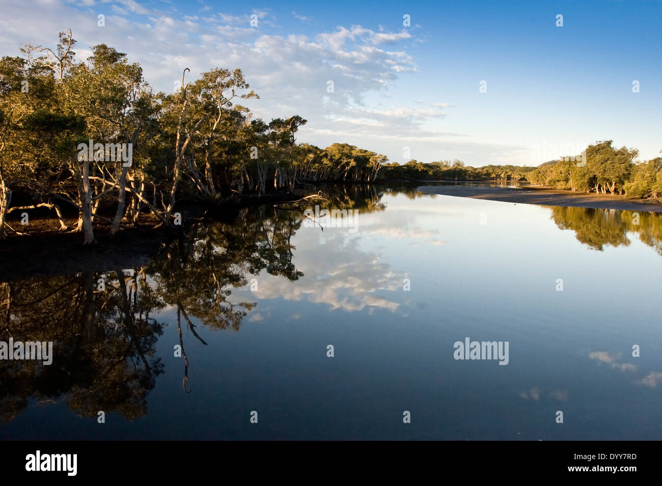 secluded still river inlet surrounded by trees with a mirror reflection ...