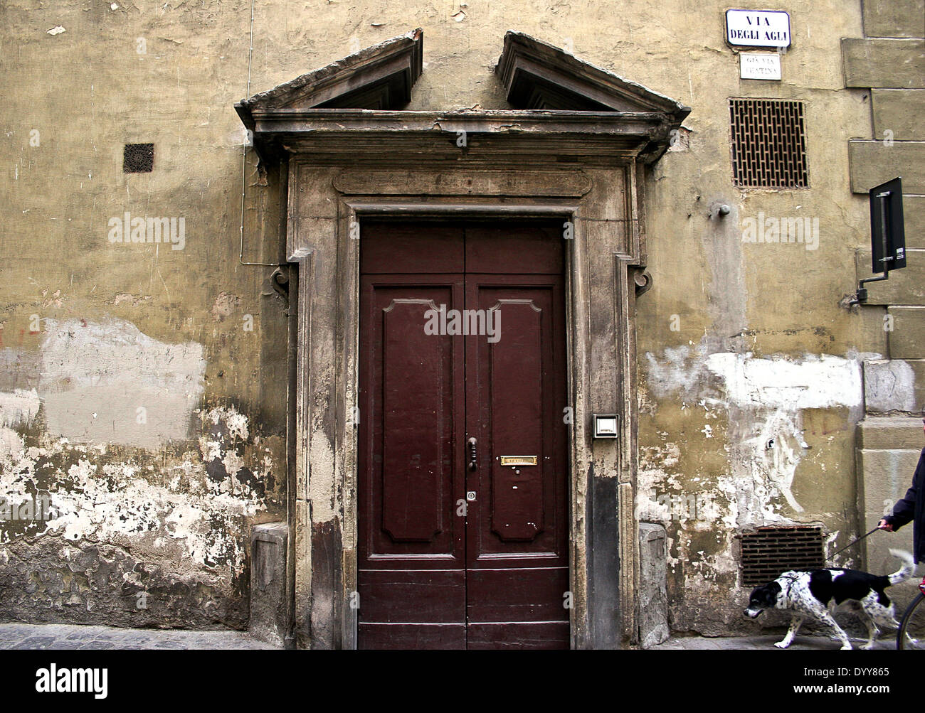 Dog on a Florence Street, in front of a weathered Italian buiding ...