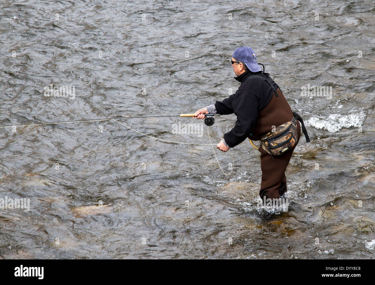 Man fly fishing for trout Stock Photo - Alamy