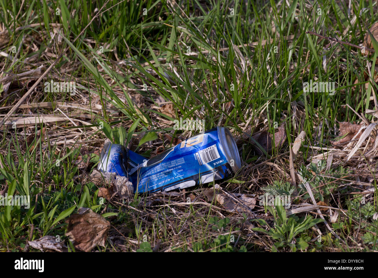 Crushed Budweiser Can Crushed Budweiser Can