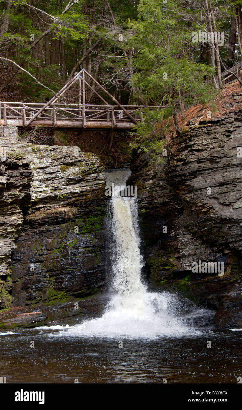 Waterfall through a cliff and a log bridge at Childs National park ...