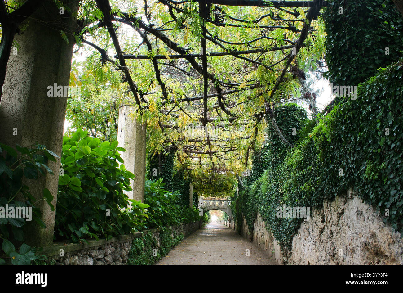Arbour in an Italian garden in Ravello Stock Photo - Alamy