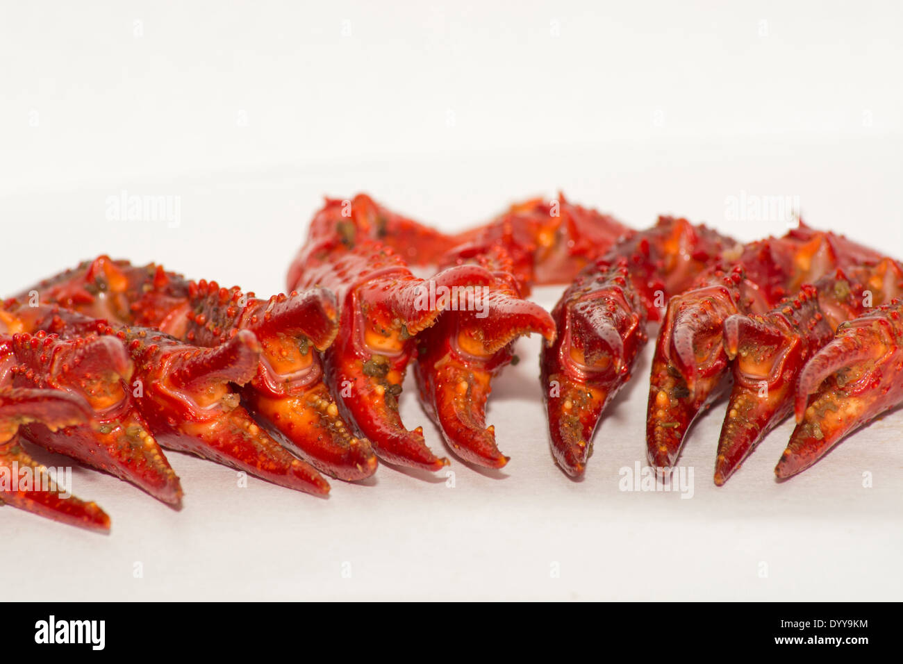 Crawfish festival hi-res stock photography and images - Alamy