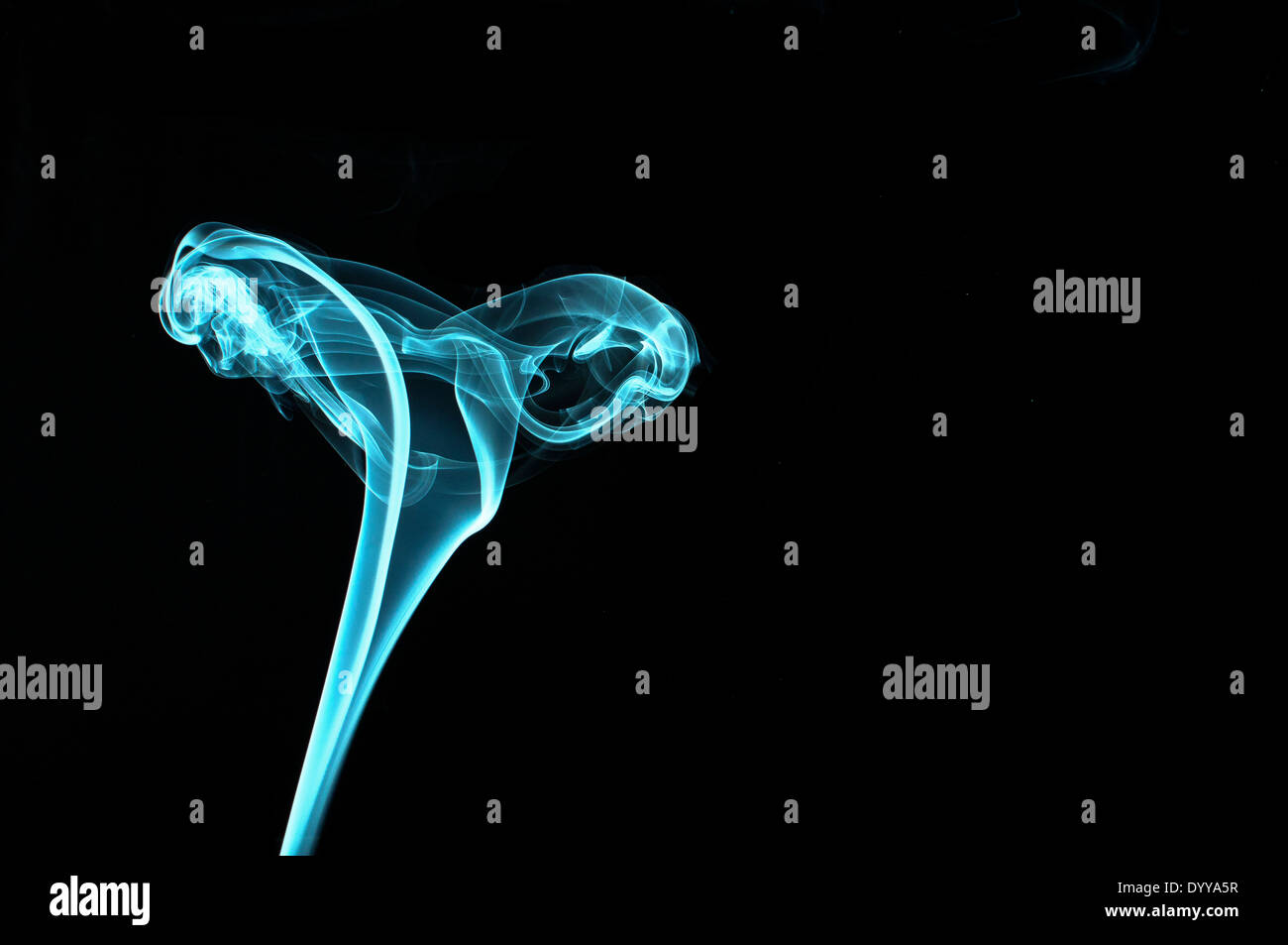 Wonderful shapes and colours hi-res stock photography and images - Alamy