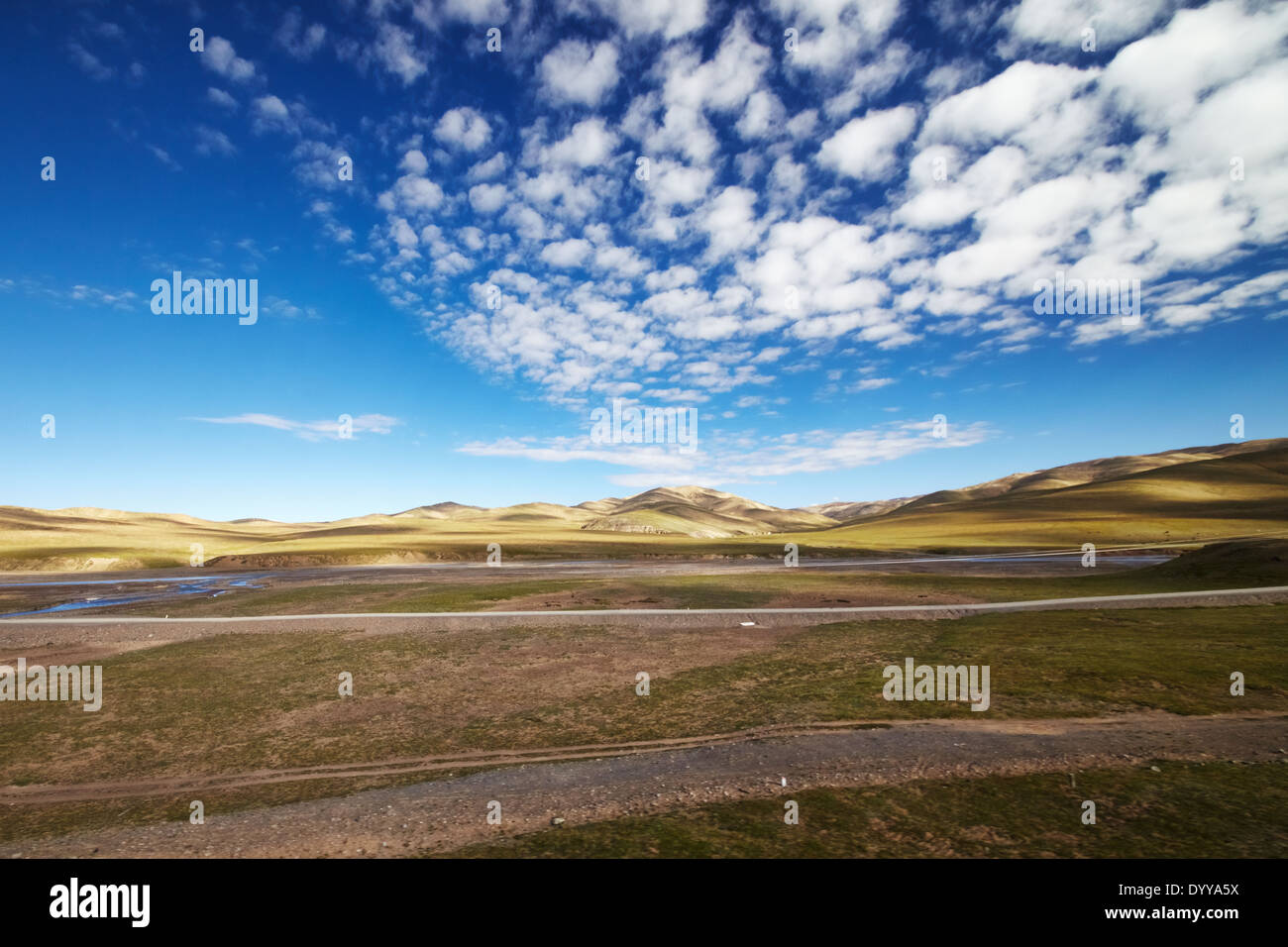 Grass plains hi-res stock photography and images - Alamy