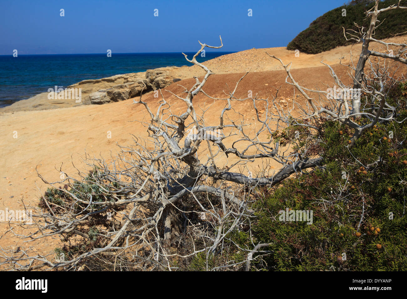 Alyko beach, Naxos, Cyclades Islands, Greece Stock Photo - Alamy