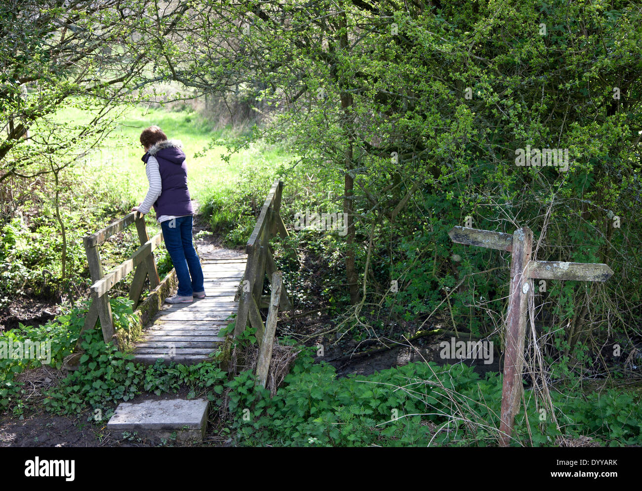 Early mature hi-res stock photography and images - Alamy