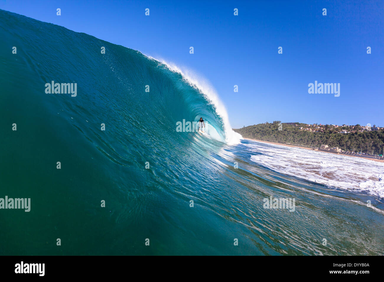 Surfing Surfer tube rides hollow ocean wave a swimming action water ...