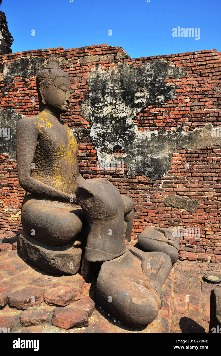 Monkey compound hi-res stock photography and images - Alamy