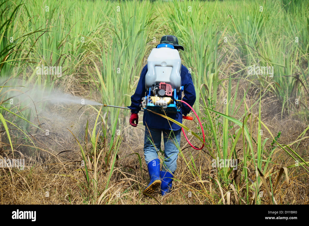 Man spraying pesticide on grass hi-res stock photography and images - Alamy