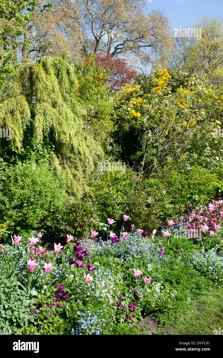 St James Park Greenery in London UK Stock Photo - Alamy