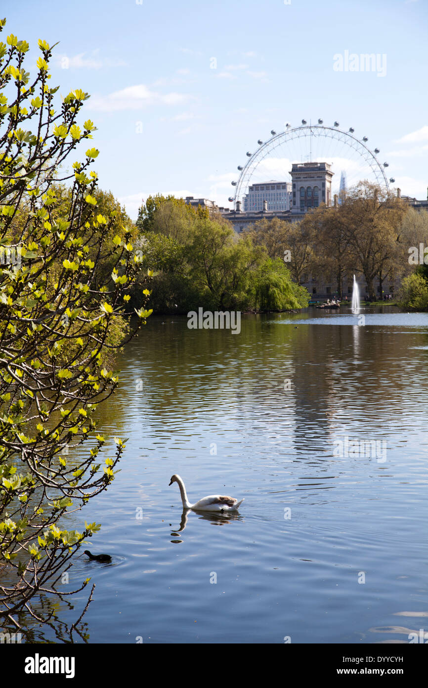 Pond at St James Park in London UK Stock Photo - Alamy