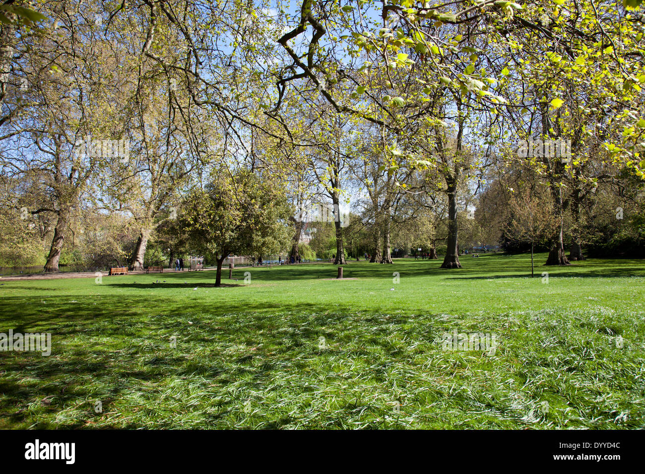 London park spring walks hi-res stock photography and images - Alamy