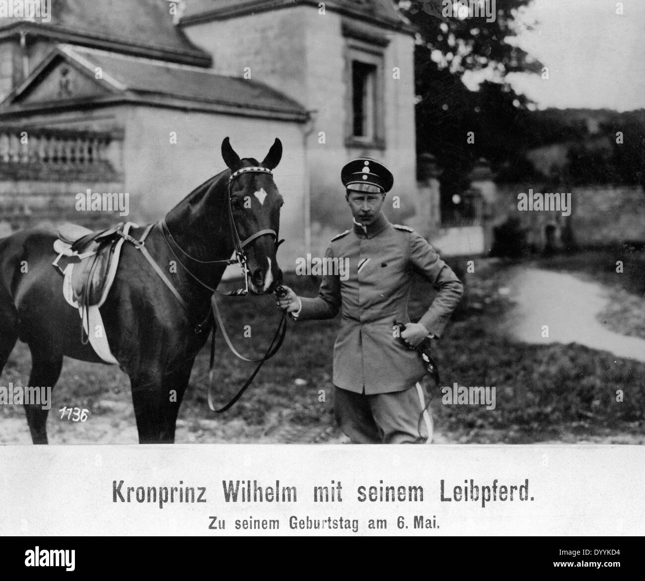 Crown Prince Wilhelm of Prussia, 1916 Stock Photo: 68834784 - Alamy Crown Prince Wilhelm of Prussia, 1916 Stock Photo: 68834784 - Alamy