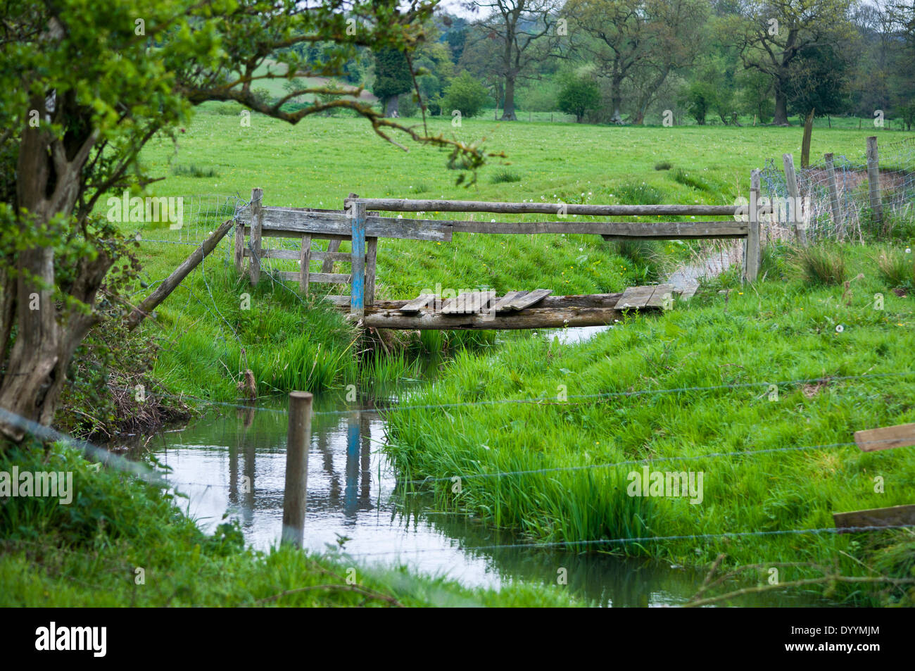 Old wooden foot bridge Stock Photo - Alamy