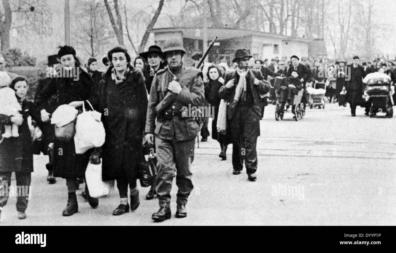 Border crossing of Jewish refugees into Switzerland Stock Photo - Alamy